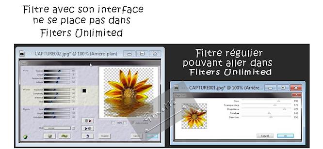 Importer des filtres